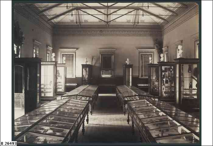 Construction of the Museum of Economic Botany - History Hub