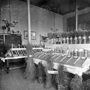 Agriculture - History Hub