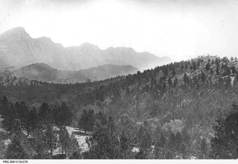 Adelaide Hills Archives - History Hub