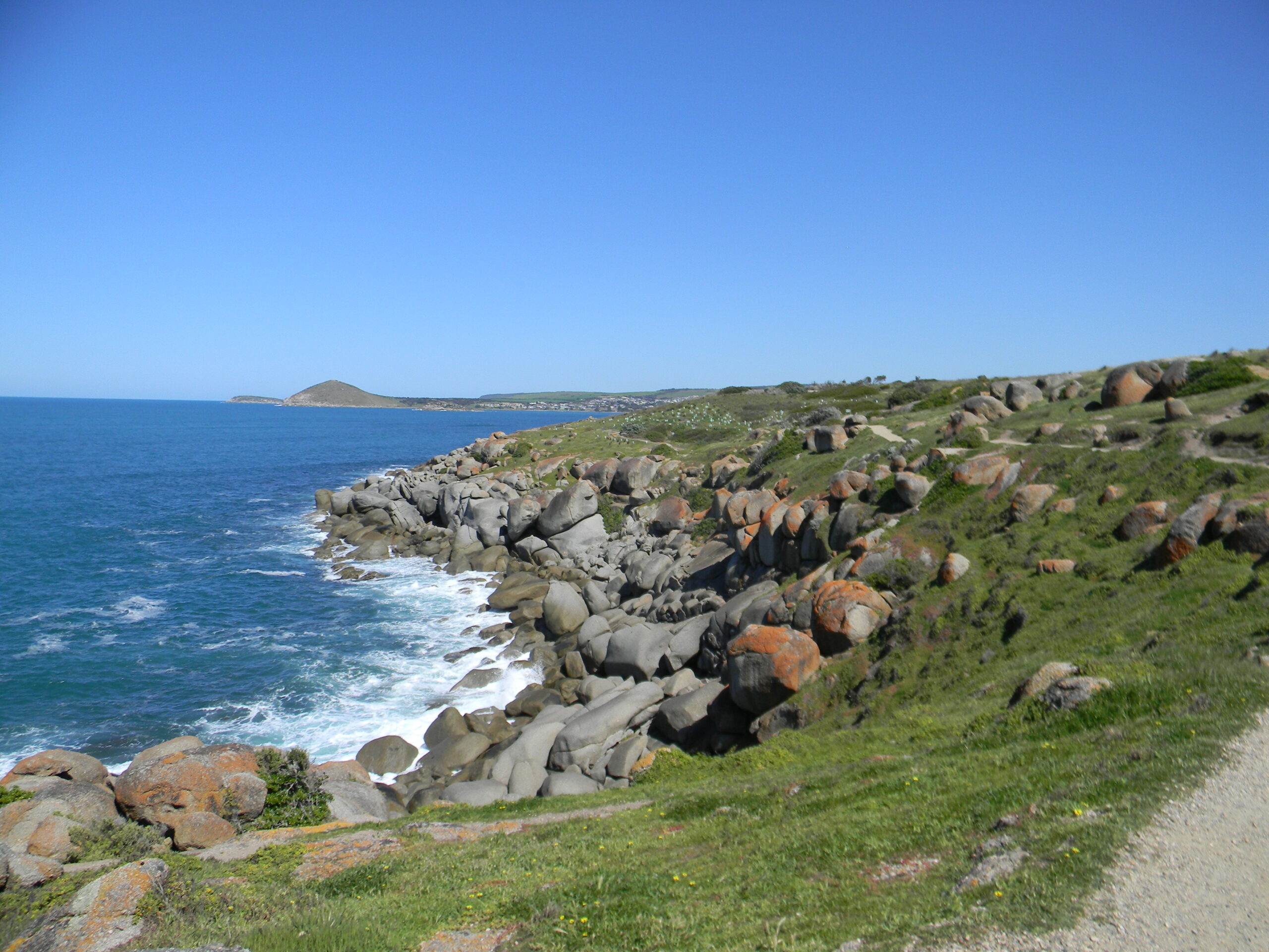 Encounter Bay Whaling Stations Established - History Hub